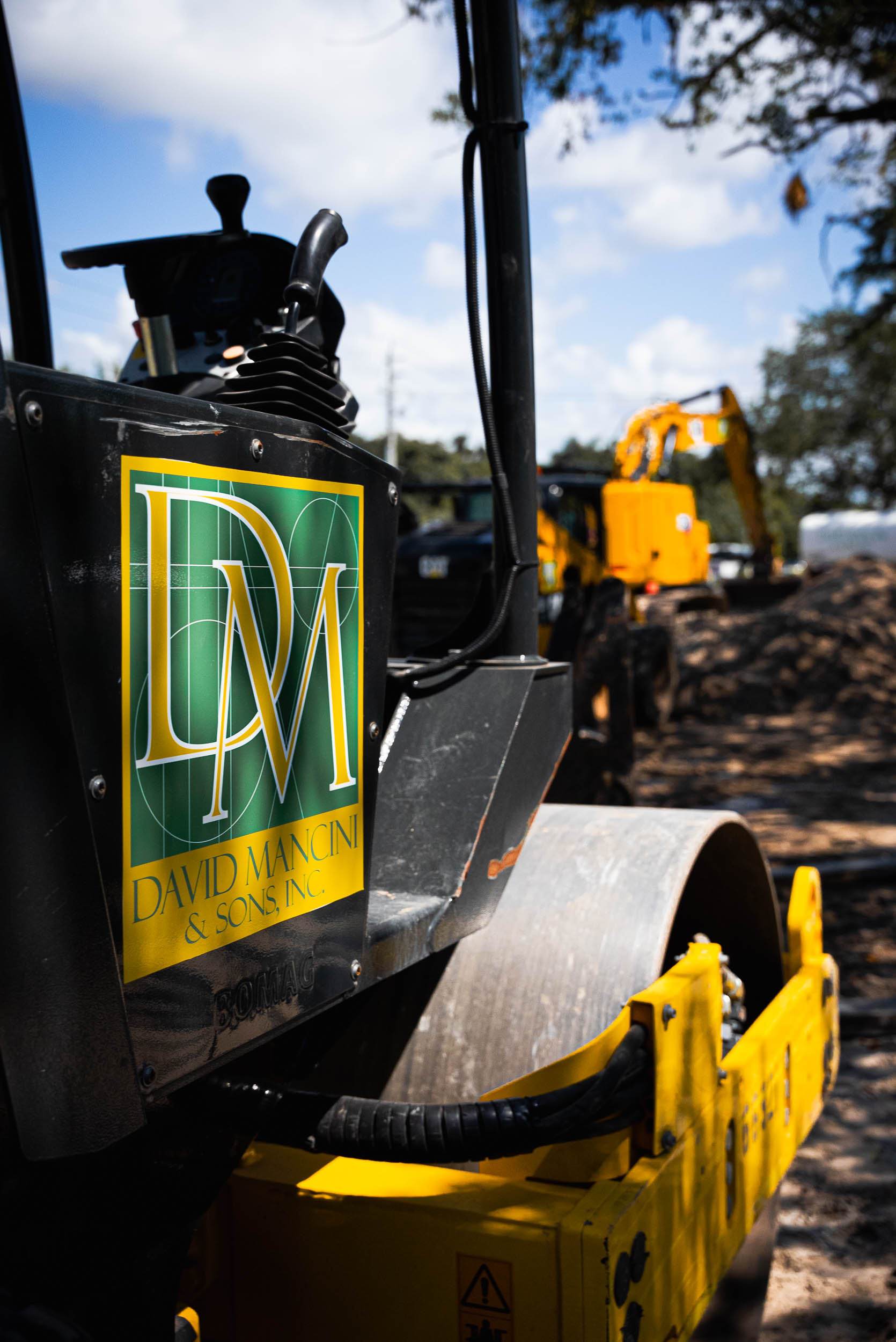 DMSI Home Page - David Mancini & Sons